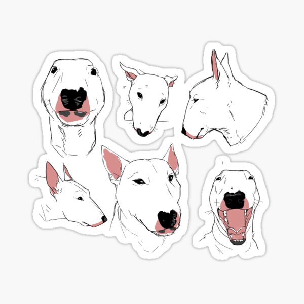 "Walter The Dog Dog Meme Dog Lovers Funny T-shirts For Gift A Man Woman ...