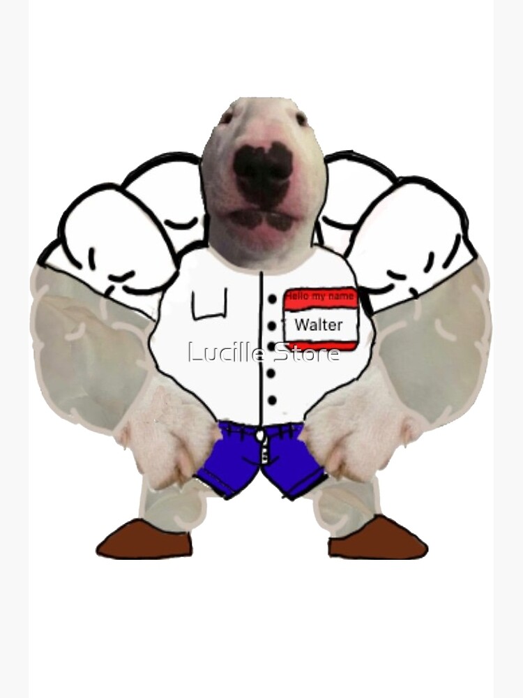 Sale > walter the dog funny > in stock