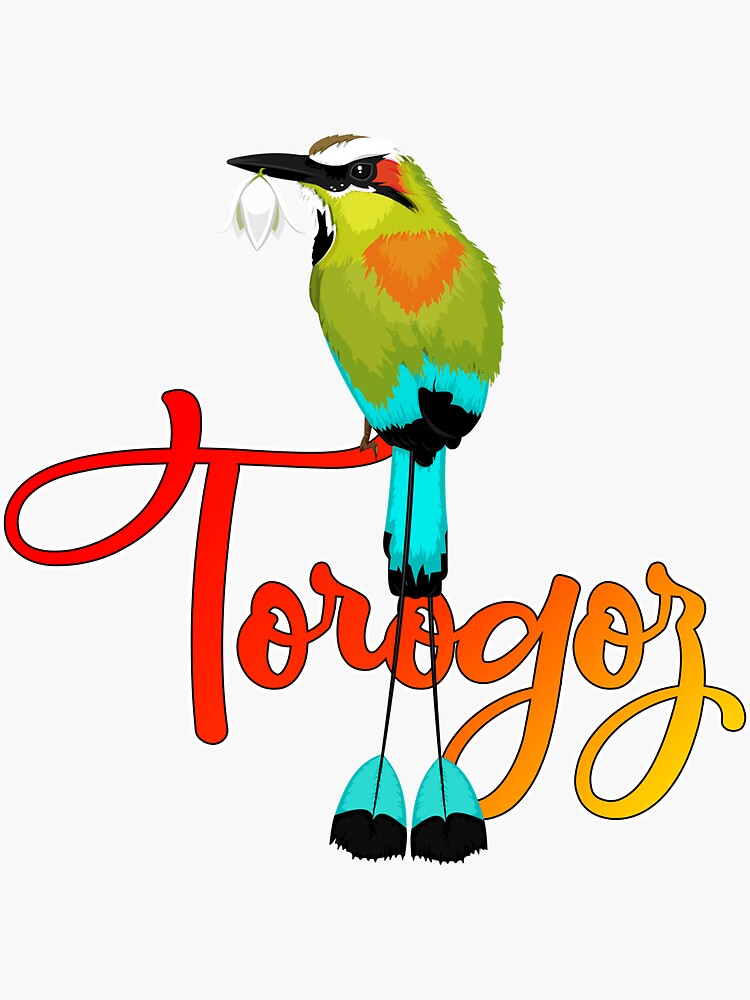 Pegatina «Torogoz» de i4identitee | Redbubble