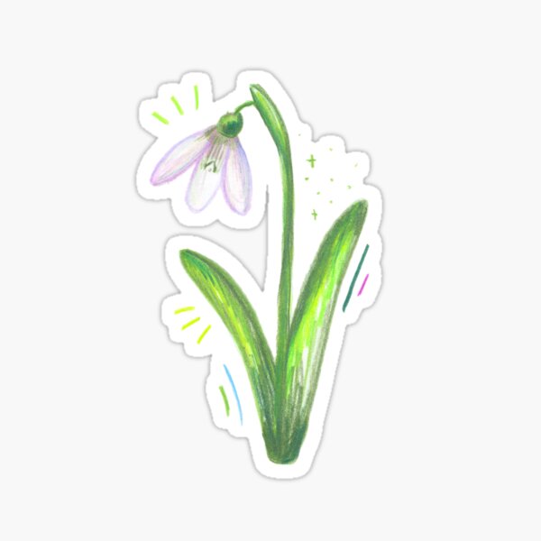 "Snowdrop" Sticker for Sale by meganmxe | Redbubble