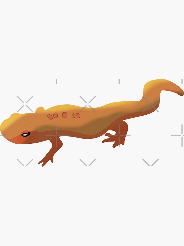 "Cute Newt" Sticker for Sale by doodlemagick | Redbubble