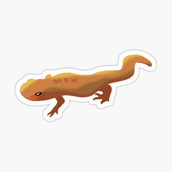 "Cute Newt" Sticker for Sale by doodlemagick | Redbubble