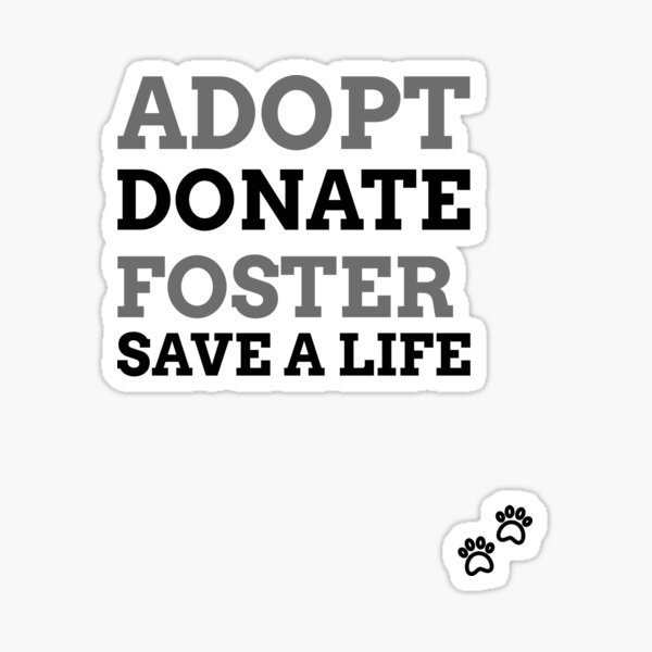 FlyingDoxie Shop | Redbubble