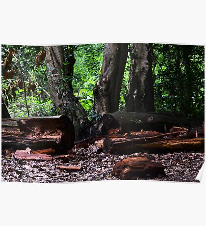 Deforestation: Posters | Redbubble