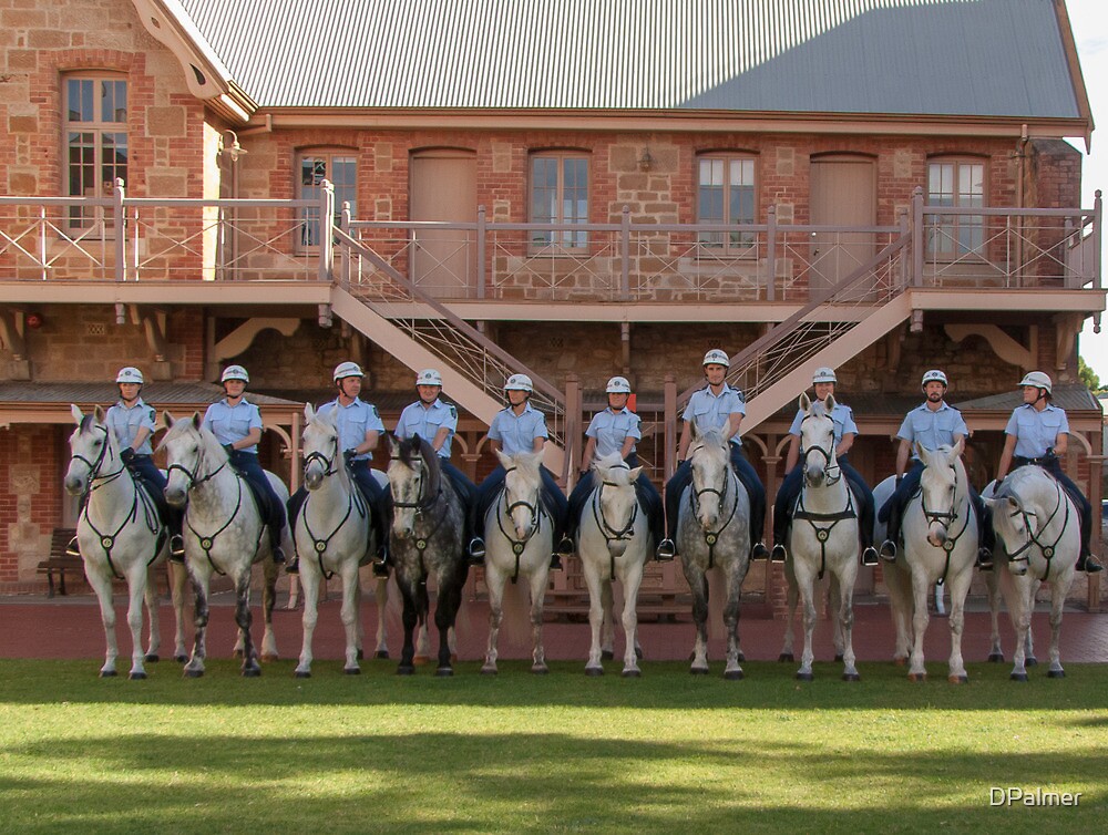 "South Australian Mounted Police - Photo Recreation" by DPalmer | Redbubble