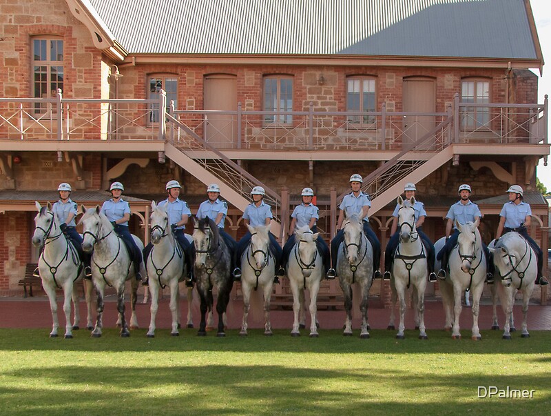 "South Australian Mounted Police - Photo Recreation" by DPalmer | Redbubble