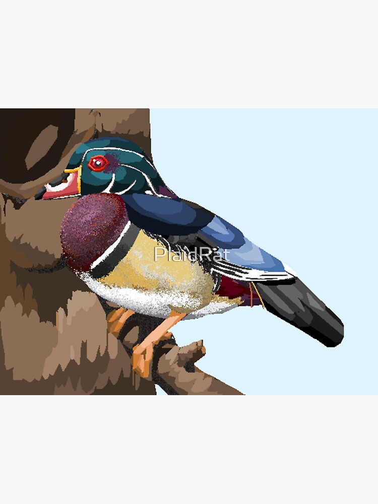 "Wood Duck" Sticker for Sale by PlaidRat | Redbubble