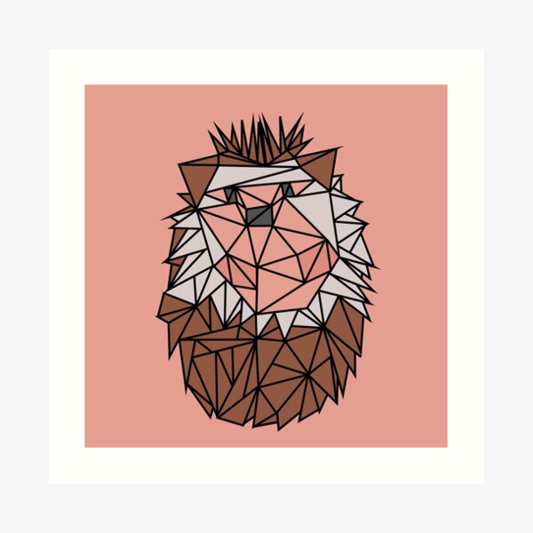"Geometric Hedgehog " Art Print for Sale by SydneyKoffler | Redbubble