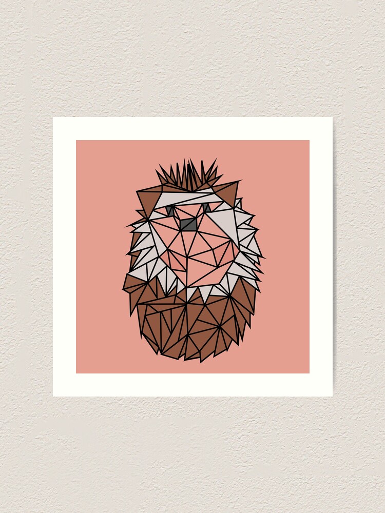 "Geometric Hedgehog " Art Print for Sale by SydneyKoffler | Redbubble