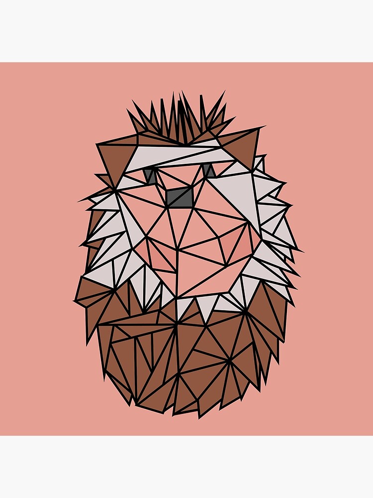 "Geometric Hedgehog " Art Print for Sale by SydneyKoffler | Redbubble