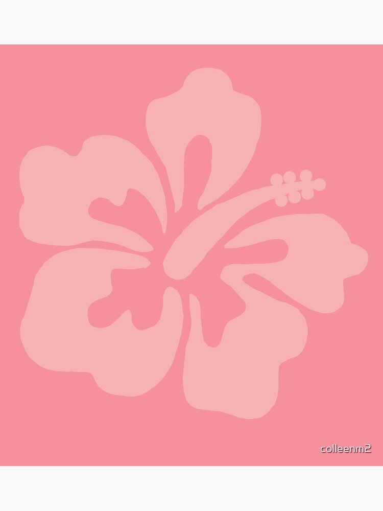 "Light Pink hibiscus flower" Poster for Sale by colleenm2 | Redbubble
