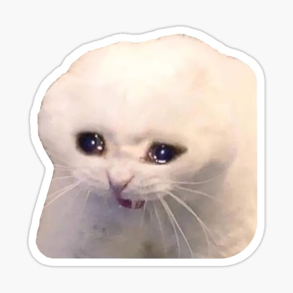 "Very sad cat screaming" Sticker by SPARTIAN | Redbubble