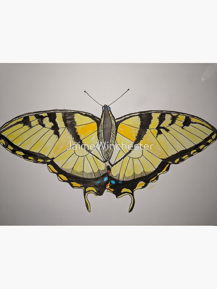 "Tiger Swallowtail Field Drawing" Poster by JaimeWinchester | Redbubble