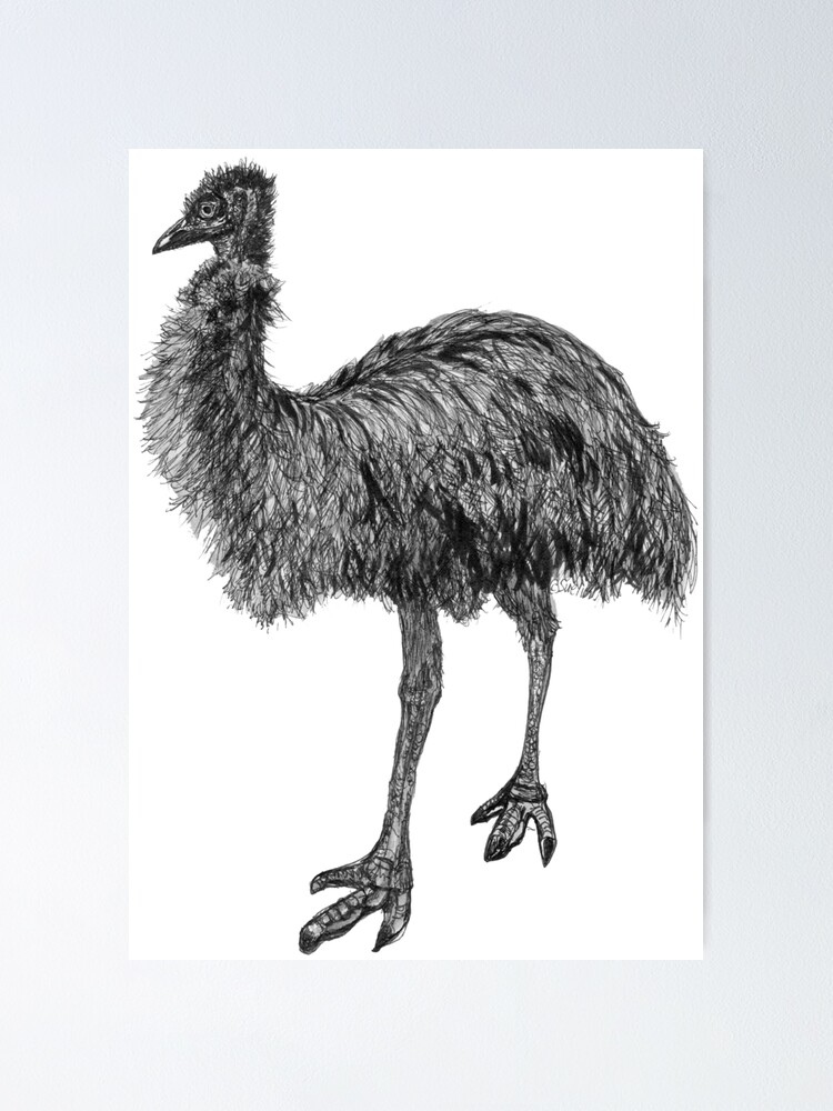 "Fluffy the Emu" Poster by Wildcard-Sue | Redbubble