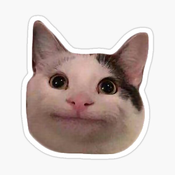 "funny cat meme" Sticker for Sale by aethete | Redbubble