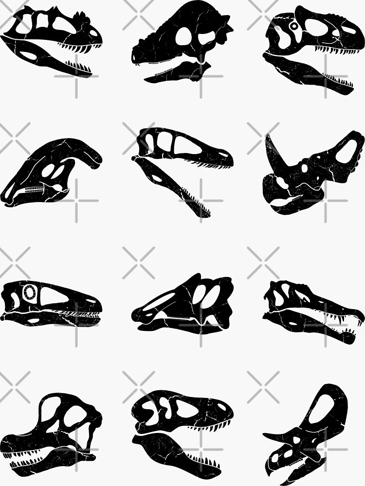 "Dinosaur Skulls" Sticker for Sale by tr1449 | Redbubble