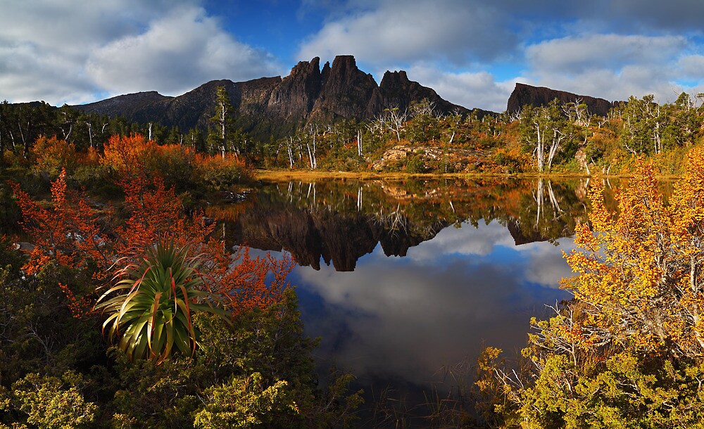 The Labyrinth, Tasmania, by Gerard Horsman [567 x 850] : r/EarthPorn