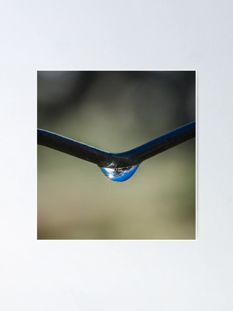 "Condensation" Poster for Sale by Bydean | Redbubble