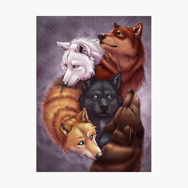 "'Together We Are Stronger' Wolf Pack -" Photographic Print by Trixks ...