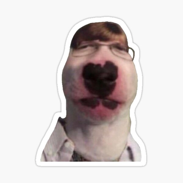 "walter the dog" Sticker by maddyniedbala | Redbubble