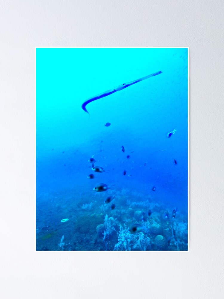 "PIPING THE BLUE CORNET" Poster by dumbodancer | Redbubble