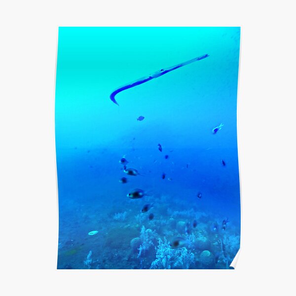 "PIPING THE BLUE CORNET" Poster by dumbodancer | Redbubble