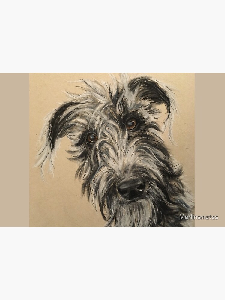 "Scruffy Beddy/whippet Lurcher " Mask for Sale by Merlinsmates | Redbubble