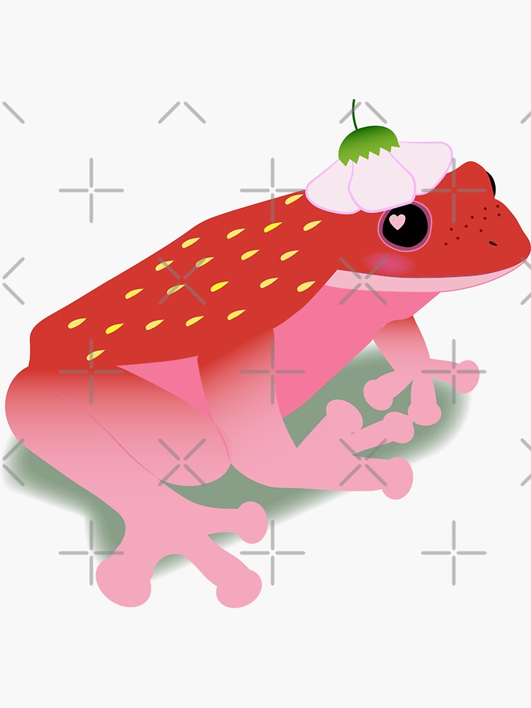 "Strawberry frog" Sticker for Sale by stingrayc | Redbubble