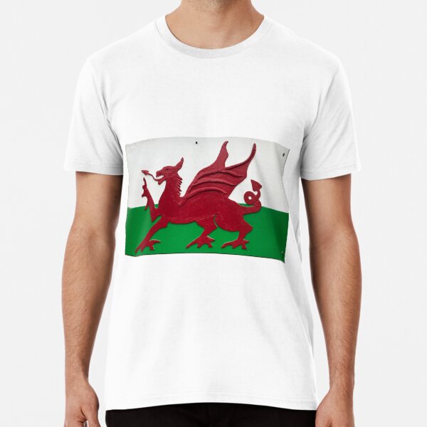 "Welsh and proud " T-shirt for Sale by Ribster13 | Redbubble | dragon t ...