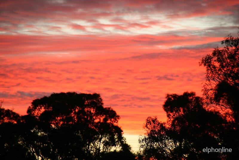 "Auburn sunset above the tree-tops, S.A." by elphonline | Redbubble