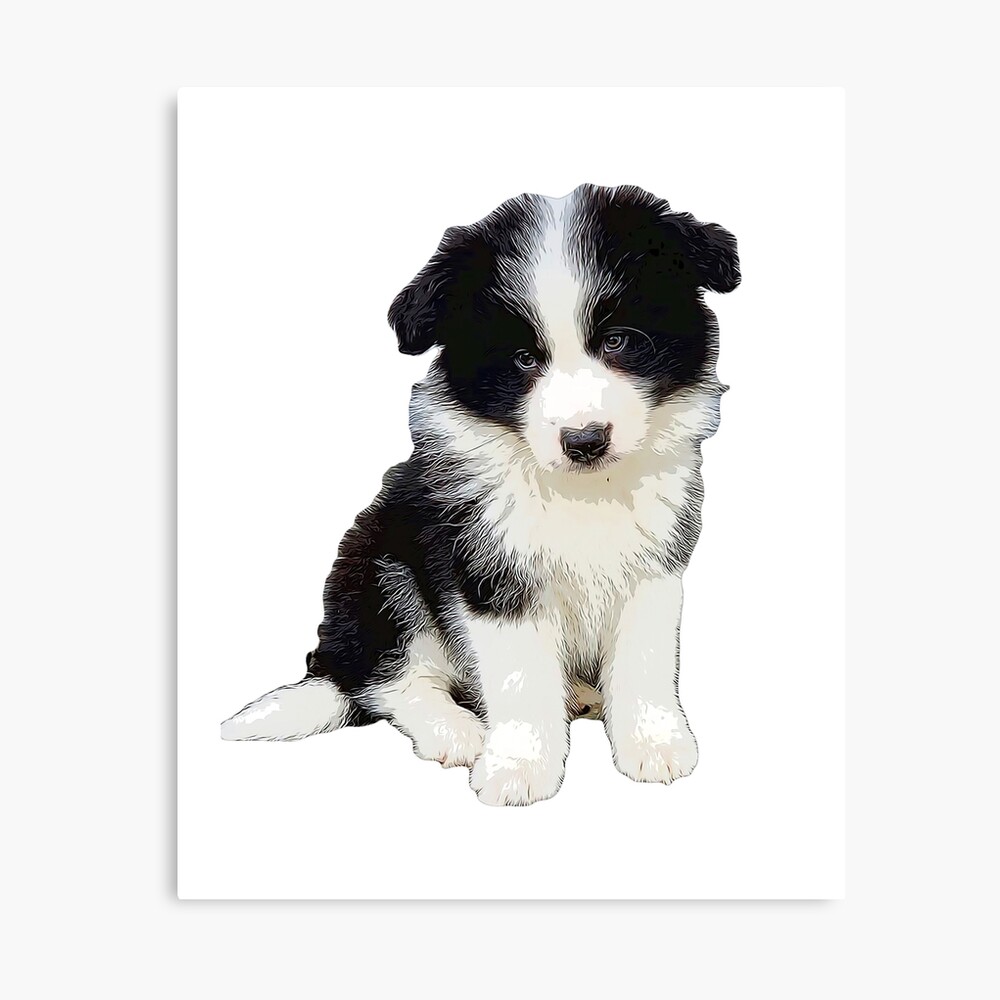 Border Collie Pixel Art | canoeracing.org.uk