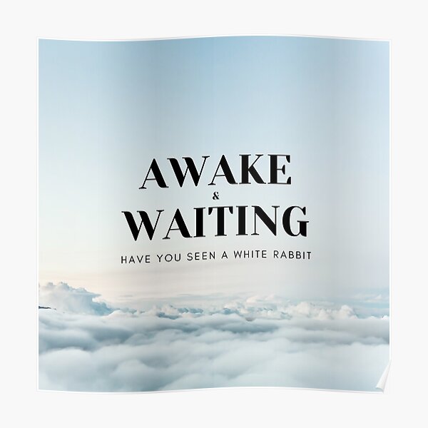 "AWAKE AND WAITI NG" Poster for Sale by Sefrica | Redbubble