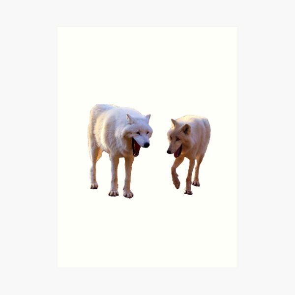 "laughing wolves meme" Art Print by SPARTIAN | Redbubble