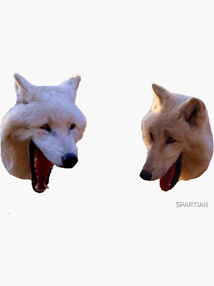 "Laughing wolves meme heads" Sticker by SPARTIAN | Redbubble