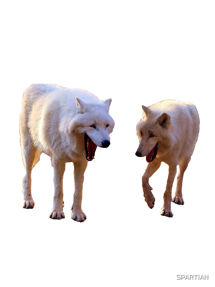 "laughing wolves meme" Kids T-Shirt for Sale by SPARTIAN | Redbubble