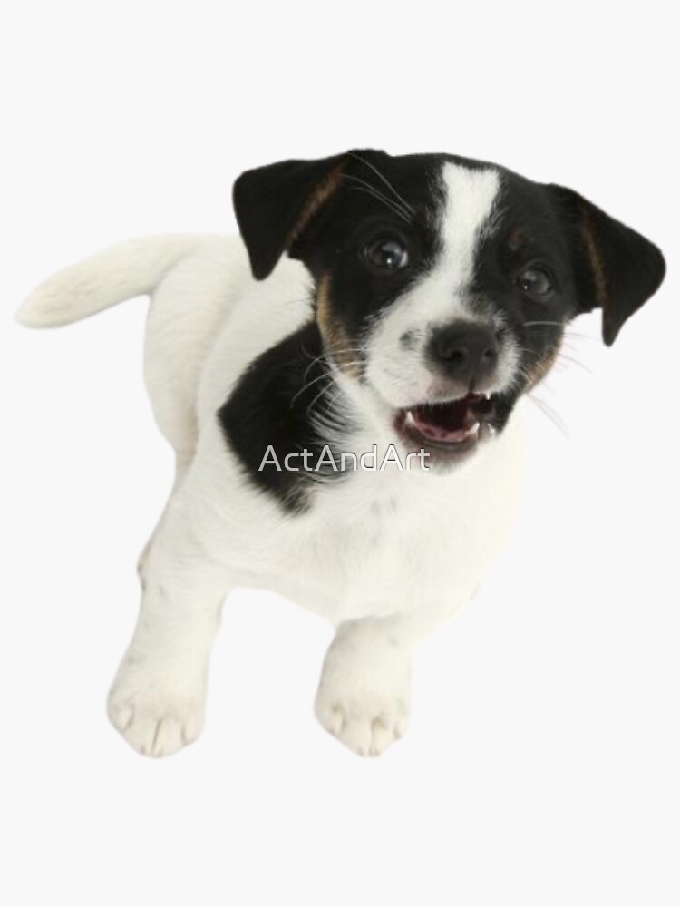 "Jack Russel" Sticker for Sale by ActAndArt | Redbubble