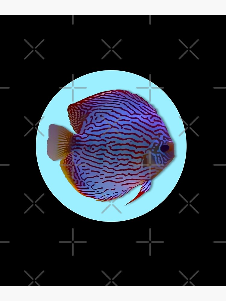 "Discus Fish" Poster by GFishy | Redbubble