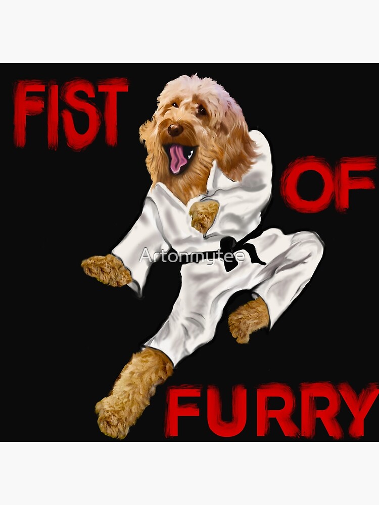 "Cavapoo Fists of furry starring Kong fu Cava - Karate - martial arts ...