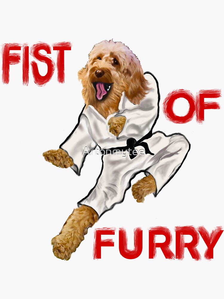 "Cavapoo Fists of furry starring Kong fu Cava - Karate - martial arts ...