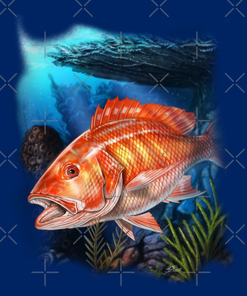 "Florida Red Snapper" by ReyFlores | Redbubble