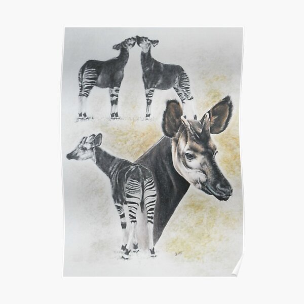"Okapi Collage" Poster for Sale by BarbBarcikKeith | Redbubble