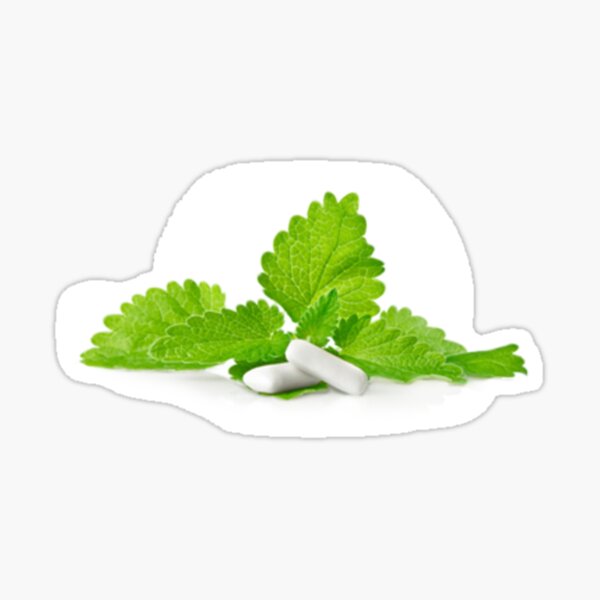 "Chewing gum and mint" Sticker by Kot-v-kino | Redbubble