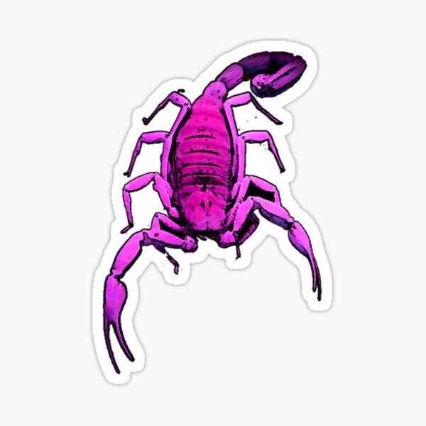 "Pink scorpion" Sticker for Sale by Alastair42 | Redbubble