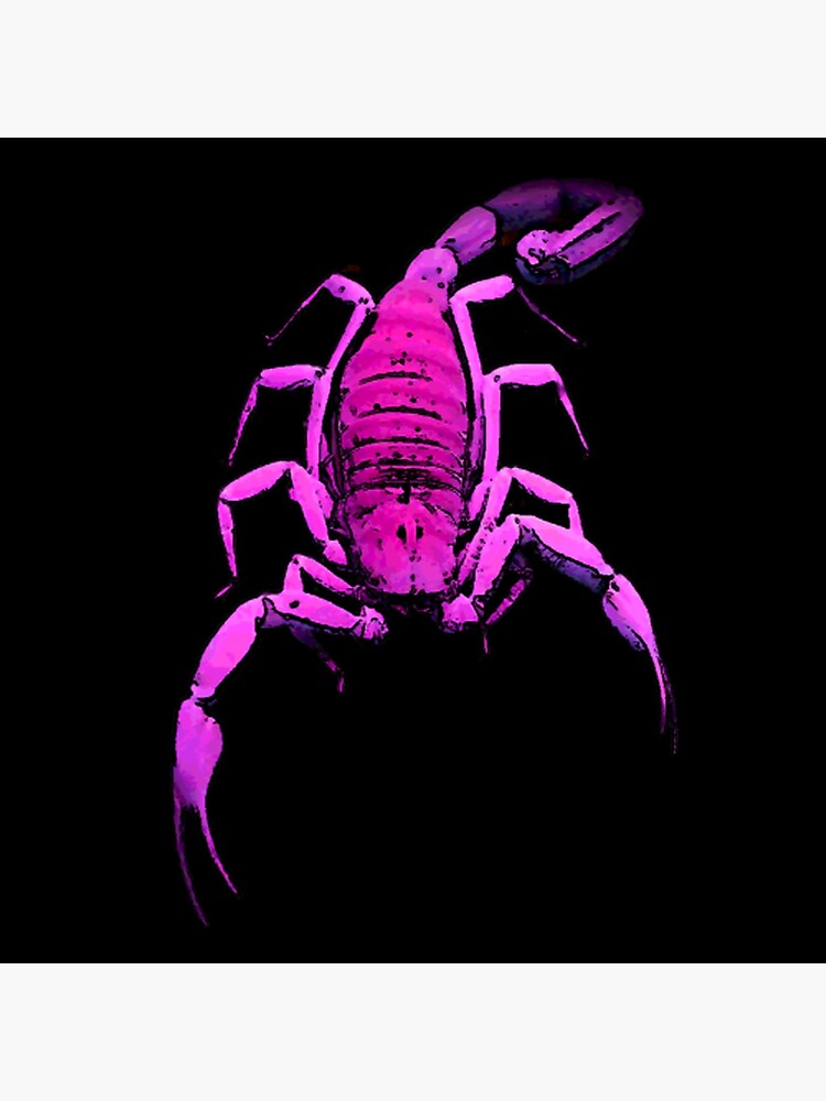"Pink scorpion" Poster for Sale by Alastair42 | Redbubble