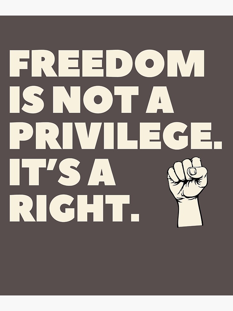 Freedom Vs Privilege at Samantha Straus blog
