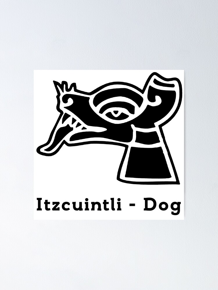 "ITZCUINTLI - AZTEC DOG" Poster for Sale by Zaguaro | Redbubble