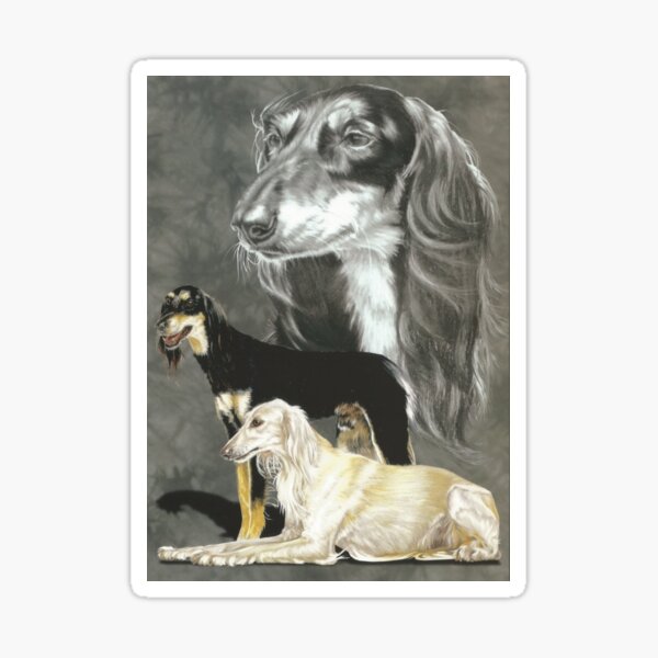 "Saluki Alteration" Sticker by BarbBarcikKeith | Redbubble