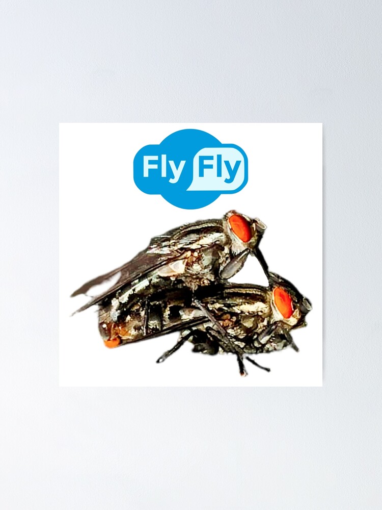 Póster «Fly Fly (volar en volar)» de bobdijkers | Redbubble