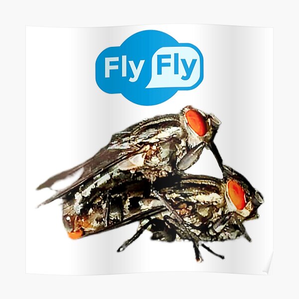 Póster «Fly Fly (volar en volar)» de bobdijkers | Redbubble