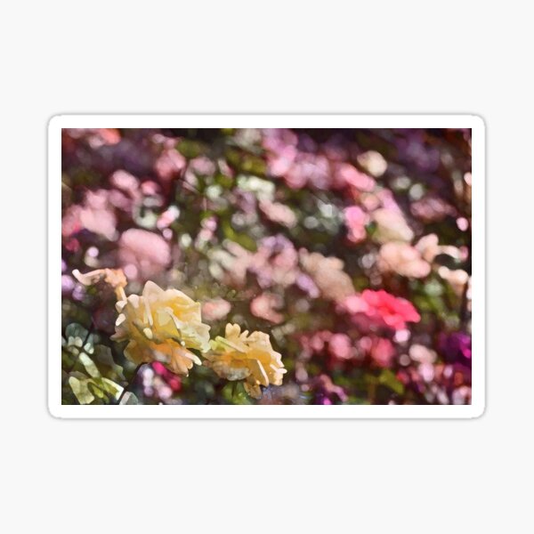 "Rose 209" Sticker for Sale by secretgardener | Redbubble